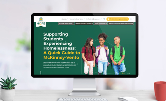 CivicFlow - Digital Solutions for Community Impact | TechArk