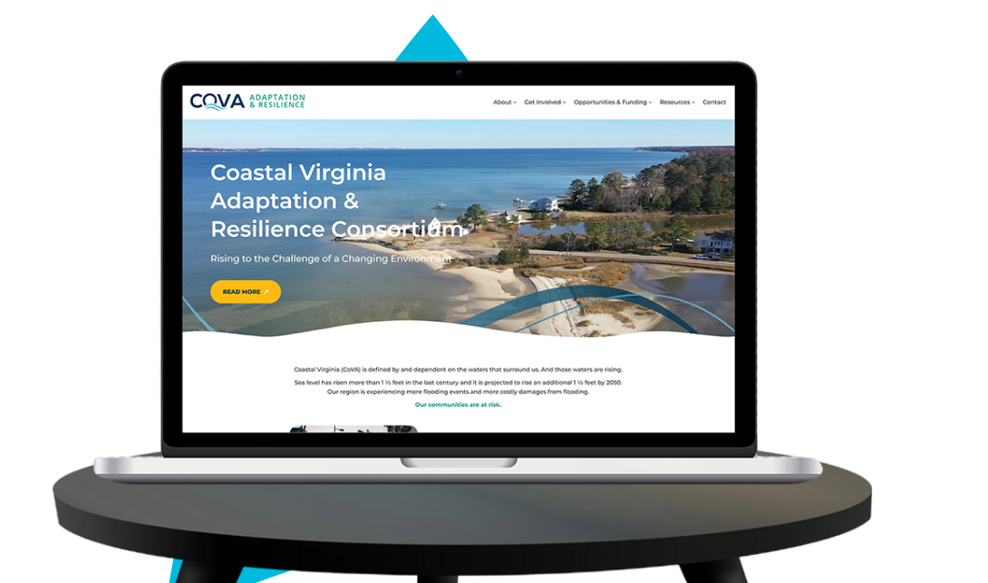 Custom Website Design Company | TechArk Solutions